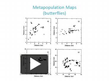 PPT – Metapopulation Maps butterflies PowerPoint presentation | free to ...