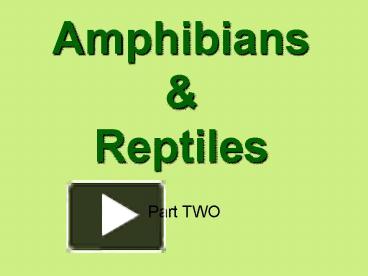 PPT – Amphibians PowerPoint presentation | free to view - id: 217ac-YzA5M