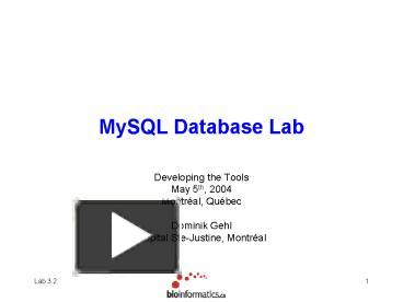 MySQL Database Lab presentation | free to view