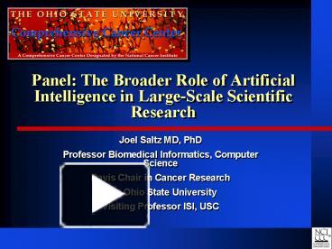 Panel: The Broader Role of Artificial Intelligence in Large-Scale ...