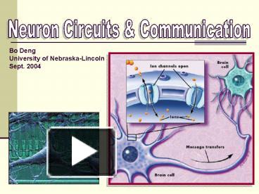 PPT – Neuron Circuits PowerPoint presentation | free to download - id ...