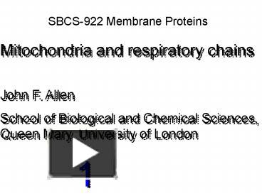 Mitochondria and respiratory chains presentation | free to view