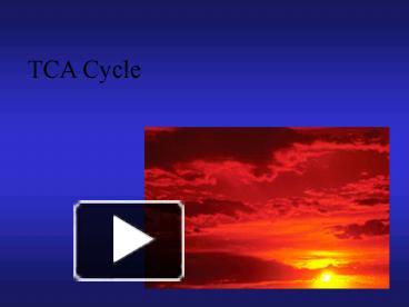 TCA Cycle presentation | free to view