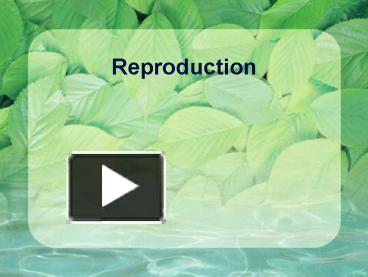 PPT – Reproduction PowerPoint presentation | free to view - id: 21d307 ...