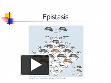 Epistasis presentation | free to view