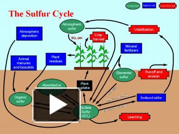 The Sulfur Cycle presentation | free to view