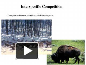 Interspecific Competition presentation | free to view