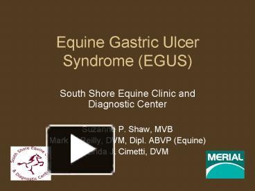 PPT – Equine Gastric Ulcer Syndrome EGUS PowerPoint presentation | free ...