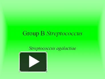 Group B Streptococcus presentation | free to view