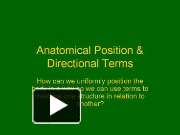 Anatomical Position presentation | free to view