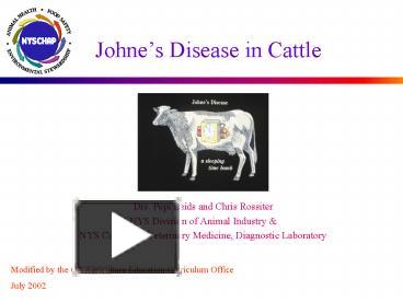 Johnes Disease in Cattle presentation | free to view