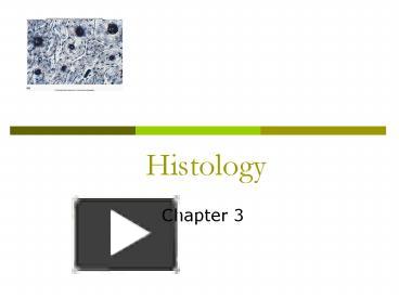 PPT – Histology PowerPoint presentation | free to view - id: 228518-ZDc1Z