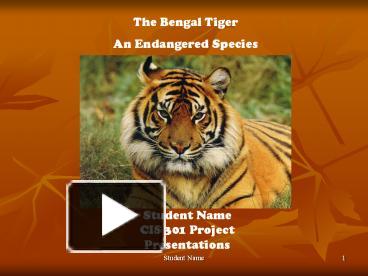 The Bengal Tiger presentation | free to view