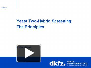 Yeast Two-Hybrid Screening: The Principles presentation | free to download