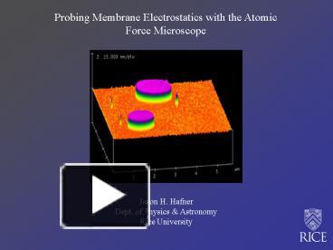 PPT – Probing Membrane Electrostatics with the Atomic Force Microscope ...