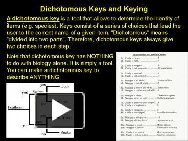 Dichotomous Keys and Keying presentation | free to view