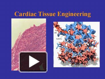 Cardiac Tissue Engineering presentation | free to view