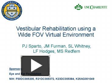 PPT – Vestibular Rehabilitation using a Wide FOV Virtual Environment ...