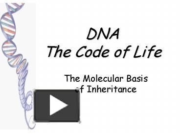 PPT – DNA The Code of Life PowerPoint presentation | free to view - id ...
