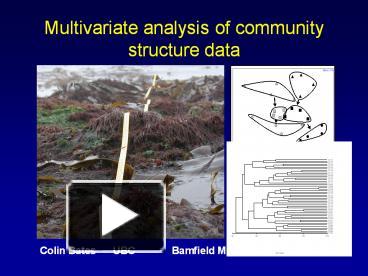 PPT – Multivariate analysis of community structure data PowerPoint ...
