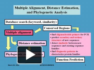 PPT – Multiple Alignment, Distance Estimation, PowerPoint presentation ...