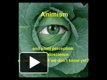 Animism presentation | free to view