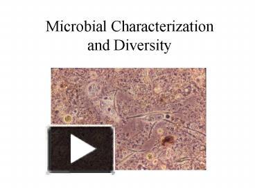Microbial Characterization and Diversity presentation | free to view