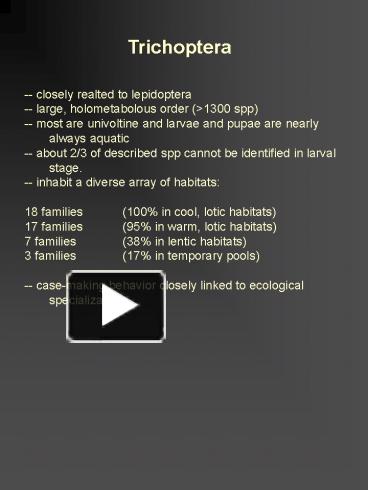 Trichoptera presentation | free to view