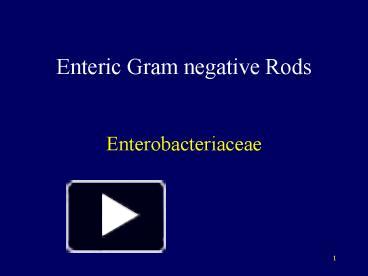 Enteric Gram negative Rods presentation | free to view