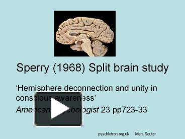 Sperry (1968) Split brain study presentation | free to download