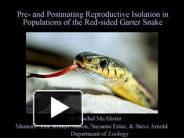 PPT – Pre and Postmating Reproductive Isolation in Populations of the ...