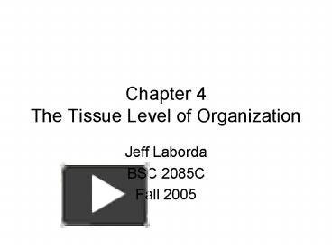 PPT – Chapter 4 The Tissue Level of Organization PowerPoint ...