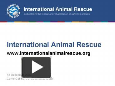 International Animal Rescue presentation | free to view