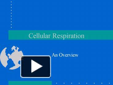 PPT – Cellular Respiration PowerPoint presentation | free to view - id ...