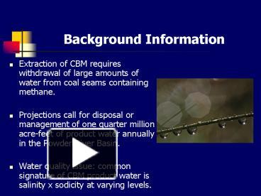 PPT – Background Information PowerPoint presentation | free to view ...