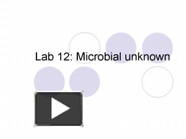 Lab 12: Microbial unknown presentation | free to view