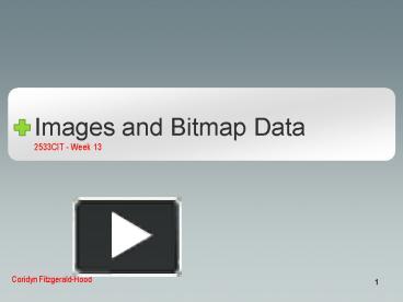 Images and Bitmap Data presentation | free to view
