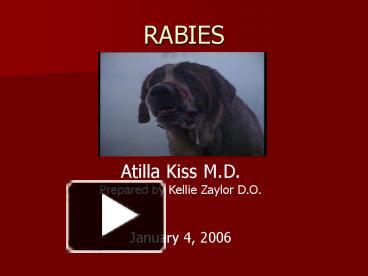 RABIES presentation | free to view
