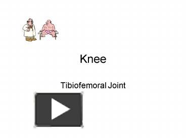 Knee presentation | free to download