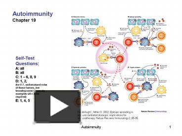 PPT – Autoimmunity PowerPoint presentation | free to view - id: 247d9-MmRiY