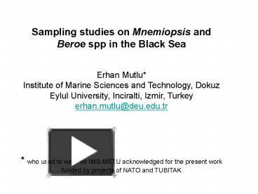 PPT – Sampling studies on Mnemiopsis and Beroe spp in the Black Sea ...