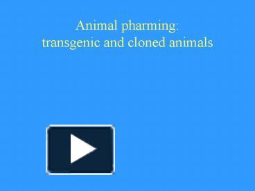 Animal pharming: transgenic and cloned animals presentation | free to view