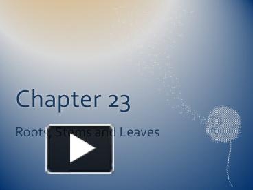 PPT – Roots, Stems and Leaves PowerPoint presentation | free to view ...