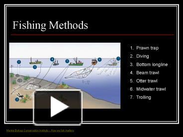 Fishing Methods presentation | free to view