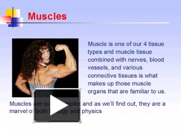 PPT – Muscles PowerPoint presentation | free to view - id: 2519c6-Y2YxN
