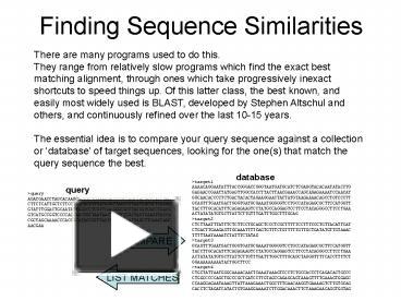 PPT – Finding Sequence Similarities PowerPoint presentation | free to ...