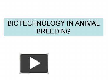 BIOTECHNOLOGY IN ANIMAL BREEDING presentation | free to view