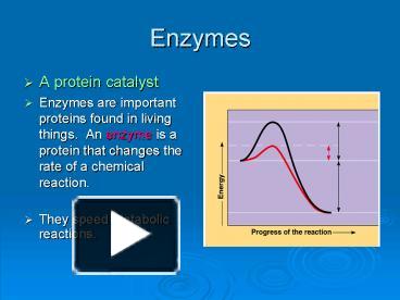 PPT – Enzymes PowerPoint presentation | free to view - id: 25641b-NDkwZ
