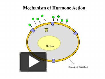 PPT – Mechanism of Hormone Action PowerPoint presentation | free to ...
