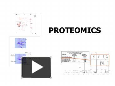 PPT – PROTEOMICS PowerPoint presentation | free to download - id ...